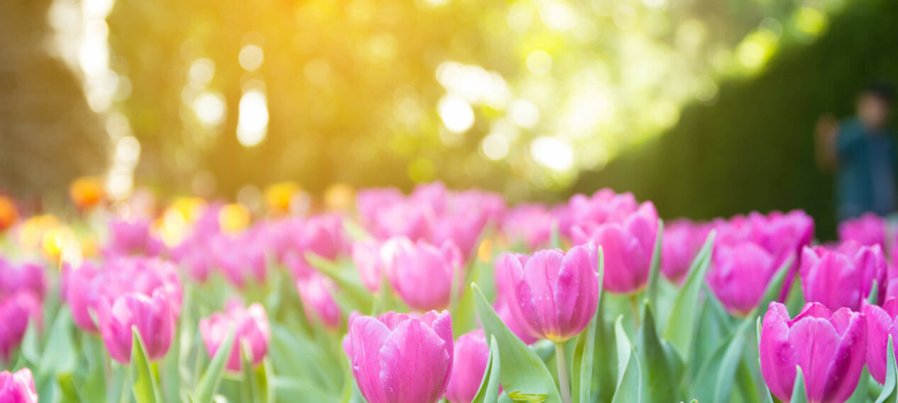 Amenities - Lake Lawn Resort